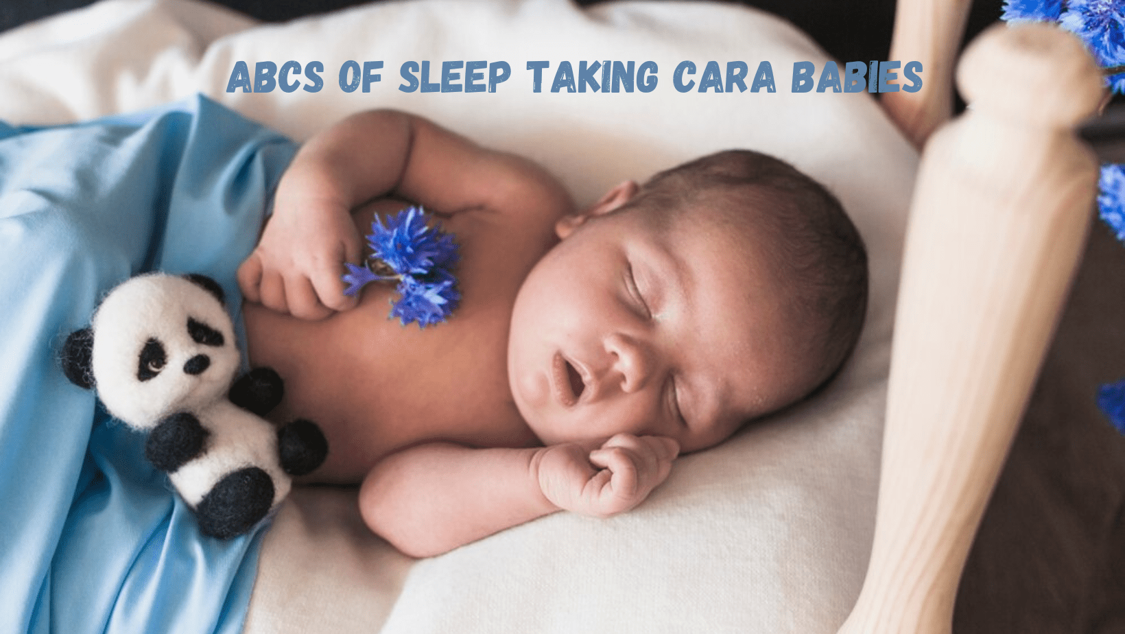 ABCs of Sleep Taking Cara Babies
